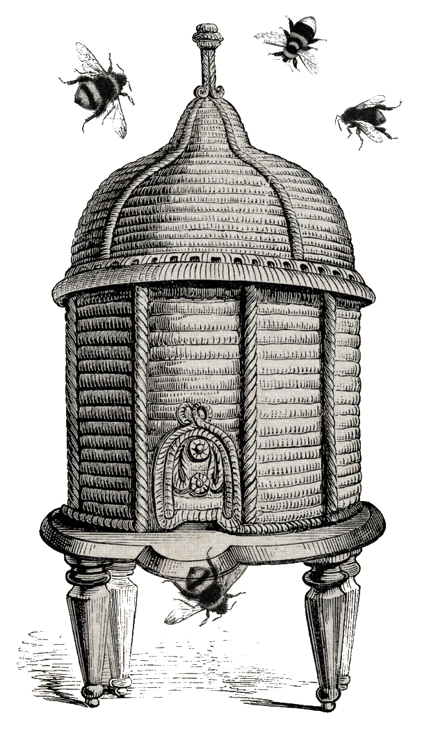 hive_transparent_bg – Shire Meadery